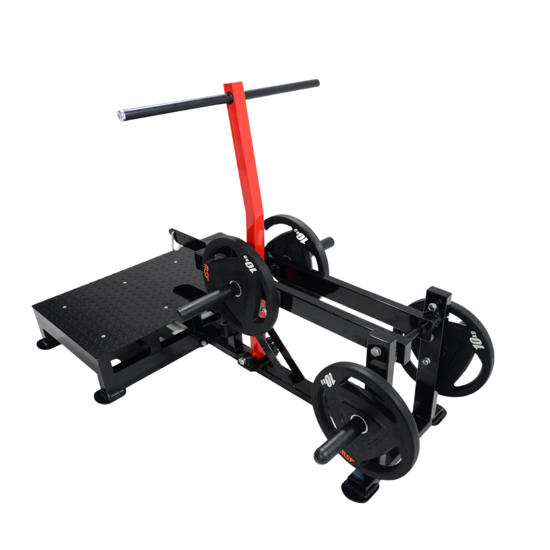 Belt (Sumo) Squat Plate Loaded — MSFFIT