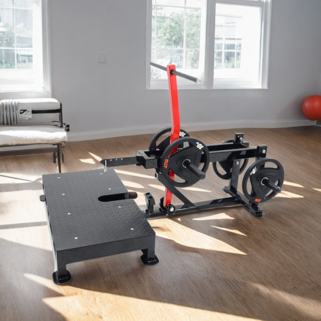 Belt (Sumo) Squat Plate Loaded — MSFFIT