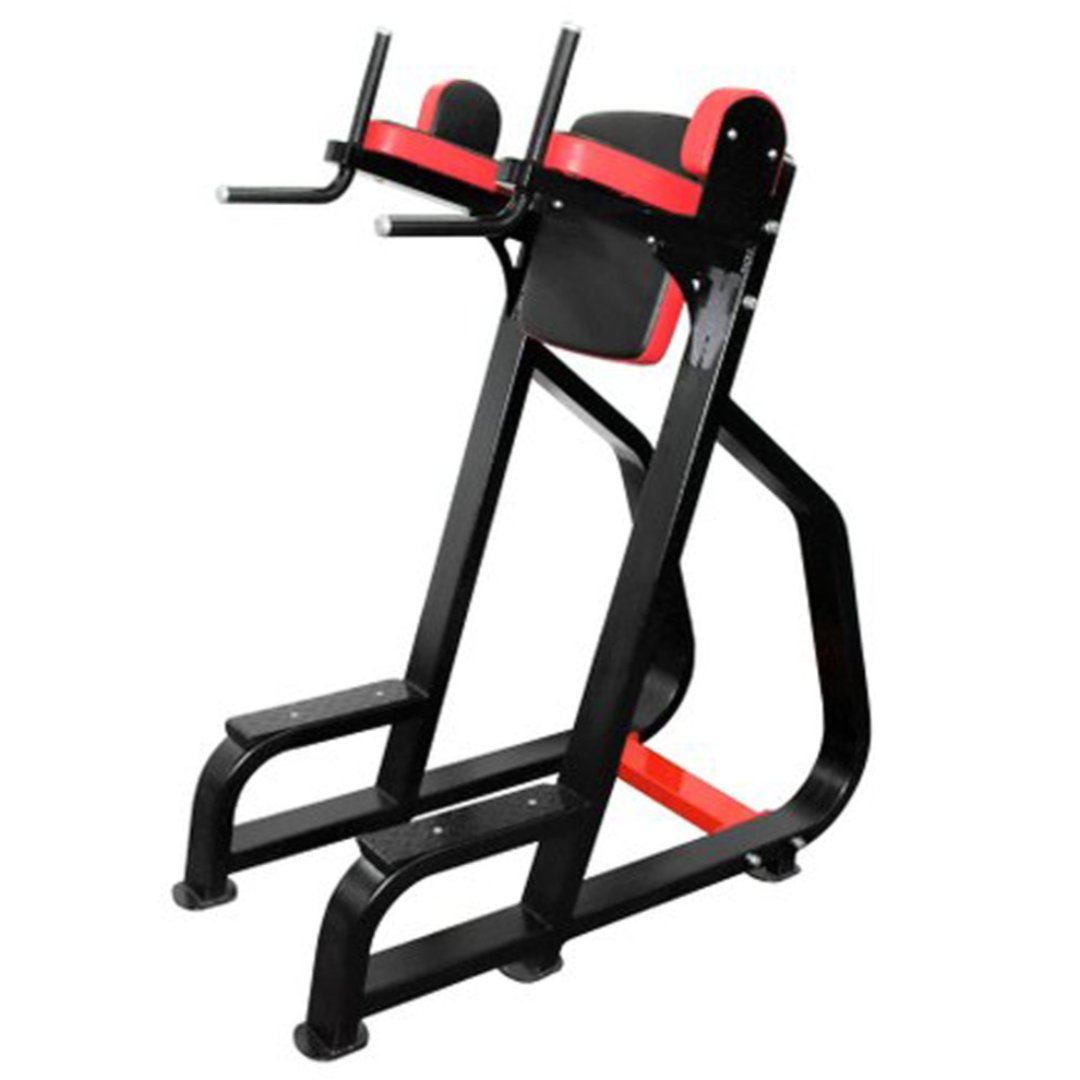 Vertical Knee Raiser/Parallel Bar (Ultra) — MSFFIT