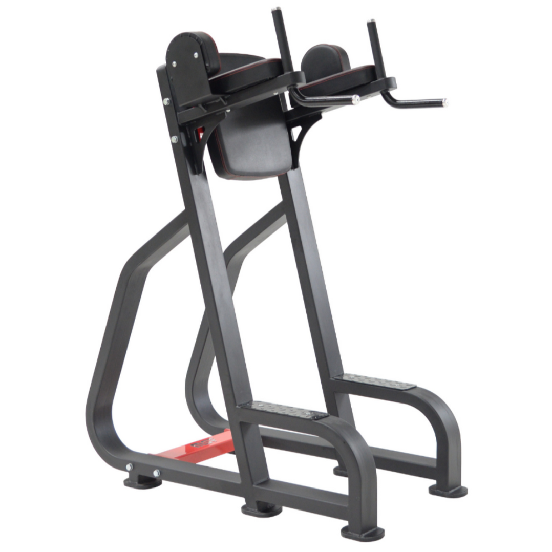 Vertical Knee Raiser/Parallel Bar (Ultra) — MSFFIT