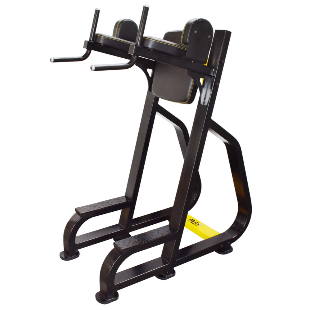 Vertical Knee Raiser/Parallel Bar (Ultra) — MSFFIT