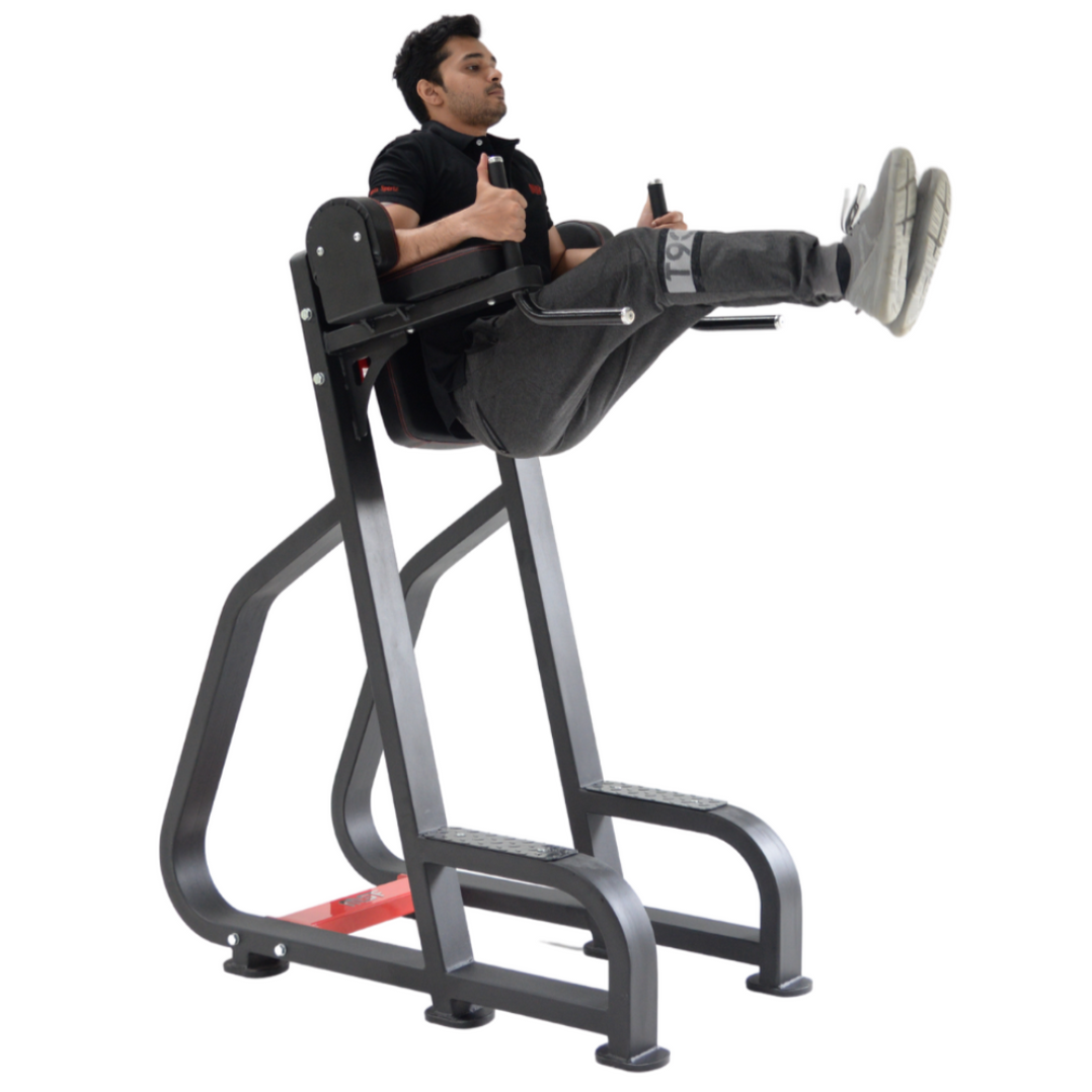 Vertical Knee Raiser/Parallel Bar (Ultra) — MSFFIT