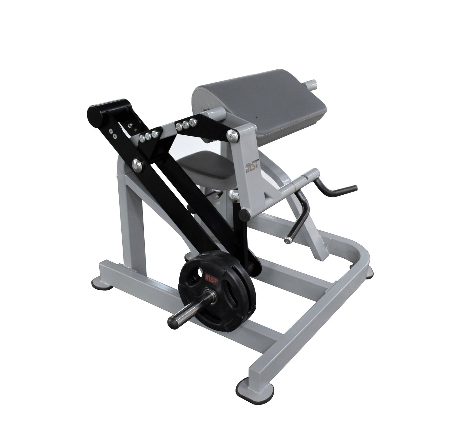 Biceps Curl Plate Loaded — MSFFIT